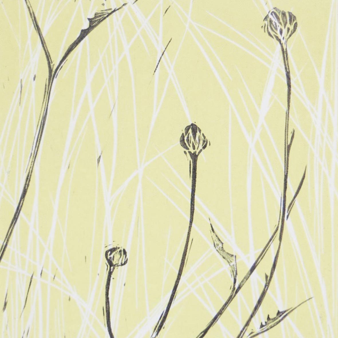 LINOCUTS GALLERY – Sarah Knight Art